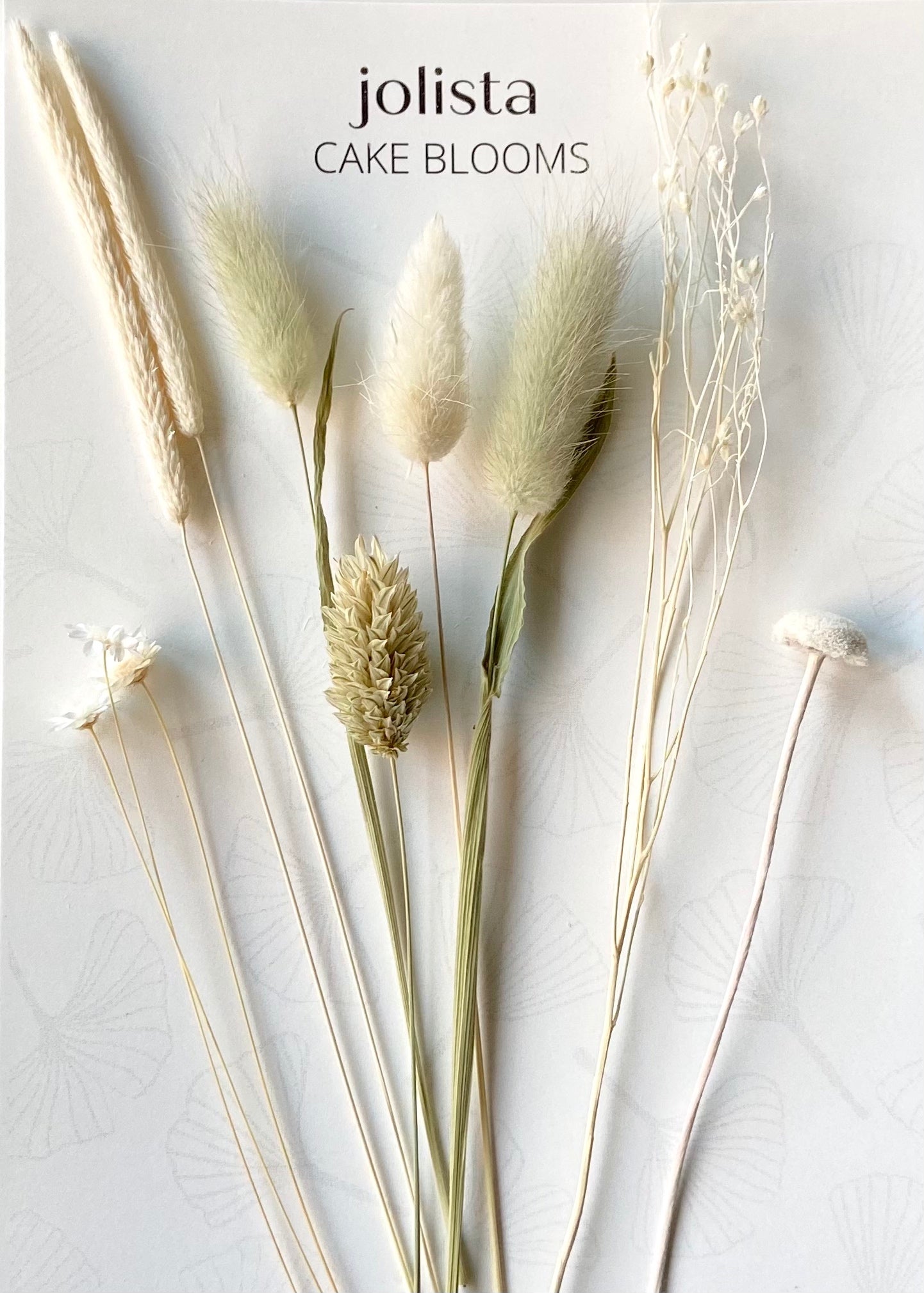 Cake Blooms – jolista